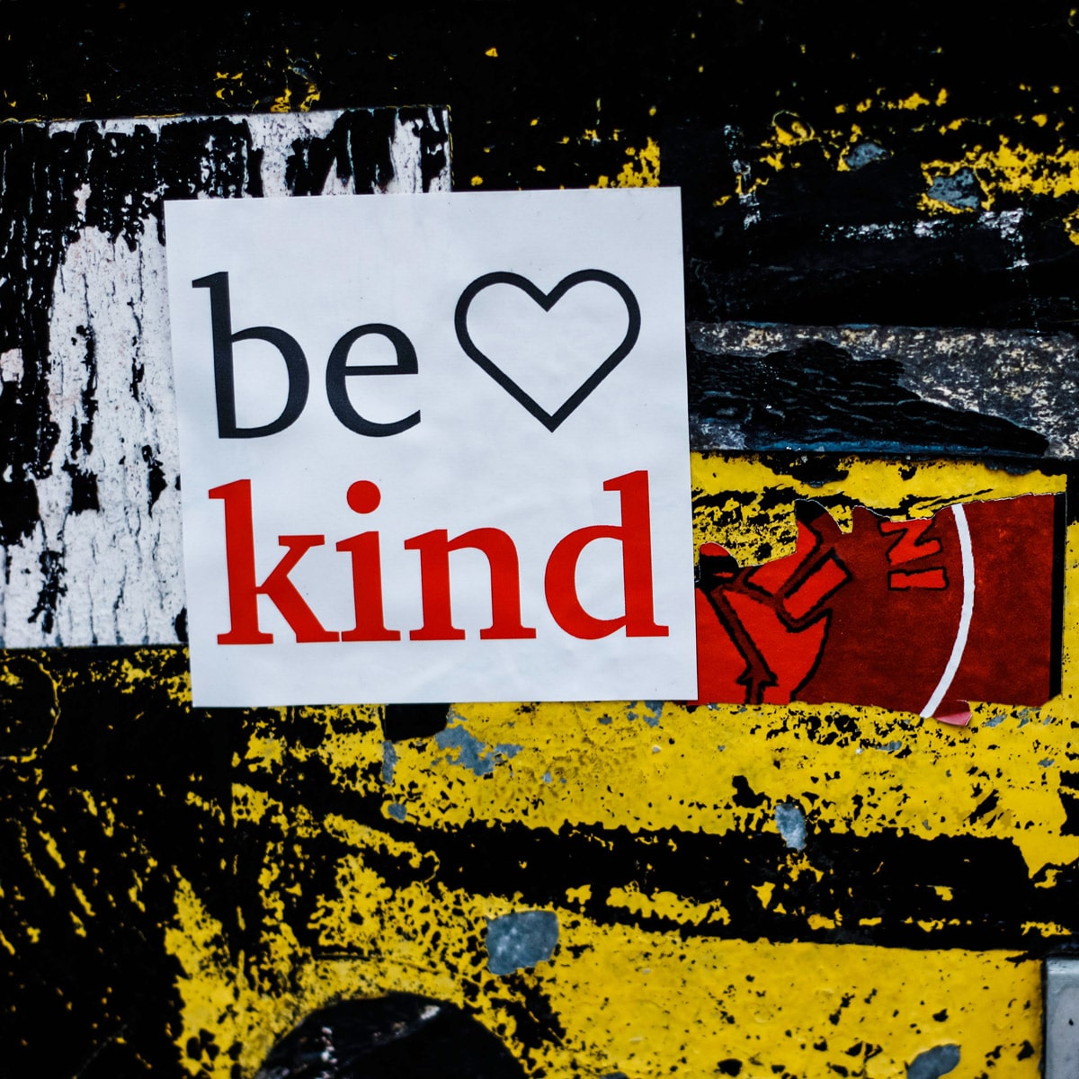 Happy World Kindness Day! | Rock Hill Public Library